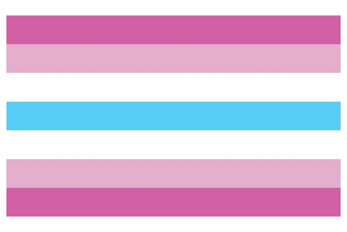 Femboy Flag – LGBTQ+ Flags Australia