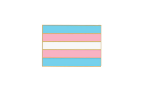Trans Flag Pin – LGBTQ+ Flags Australia
