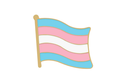 Trans Flag Pin – LGBTQ+ Flags Australia